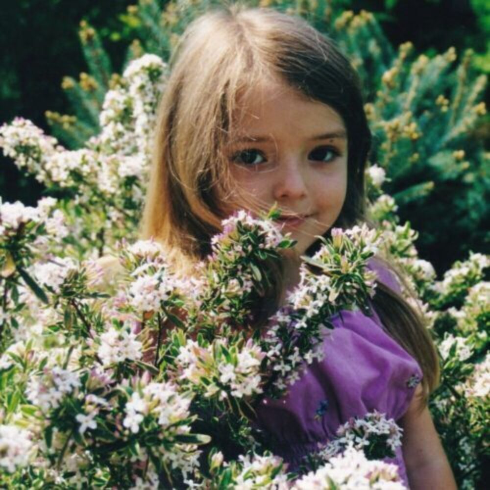 Daphne Ellis | The Wild Honey Pie