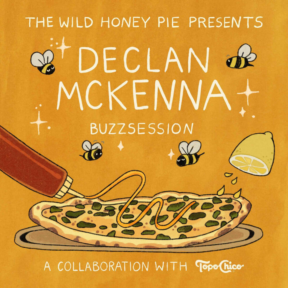 Declan McKenna - Sympathy | The Wild Honey Pie