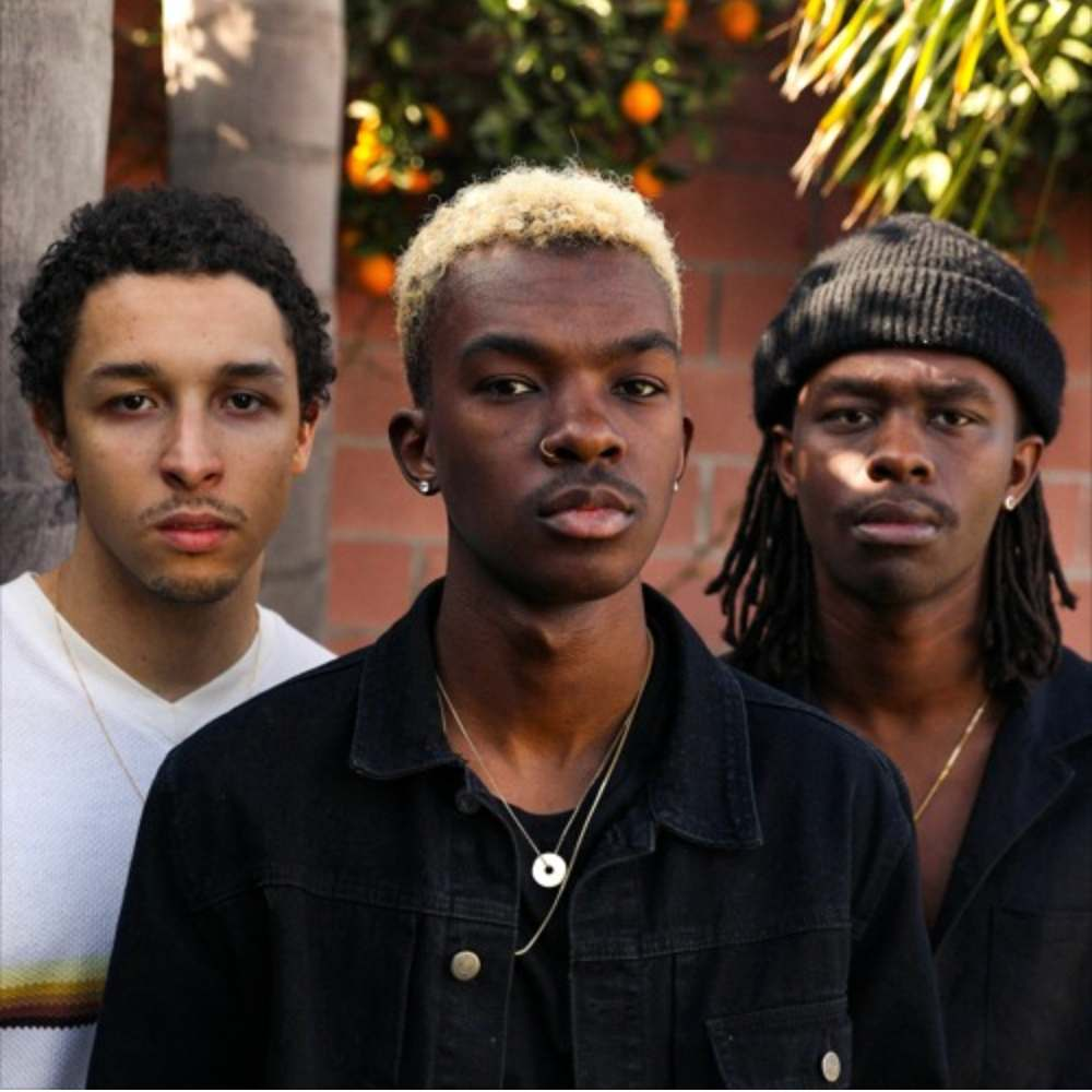 Your Grandparents - So Damn Fly | The Wild Honey Pie